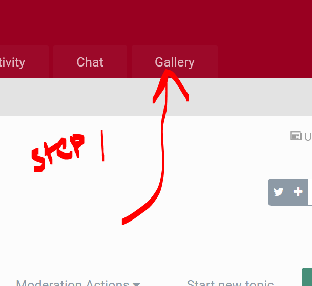 How to make an album in gallery - Help Desk - Curvage